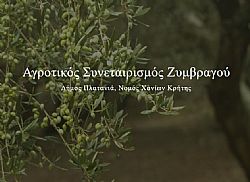 ΑΓΡΟΤΙΚΟΣ ΣΥΝΕΤΑΙΡΙΣΜΟΣ ΖΥΜΒΡΑΓΟΥ