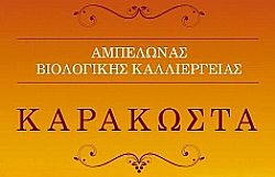 ΚΤΗΜΑ ΚΑΡΑΚΩΣΤΑ